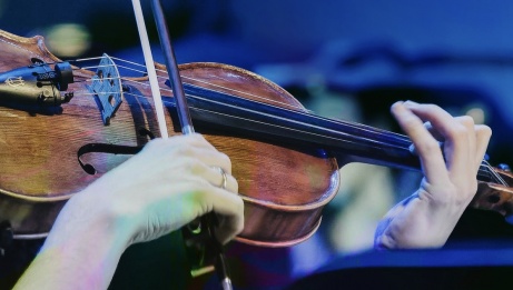 2025 NACO Bursary Semi-Finals | Violin, viola, cello, double bass, and ...