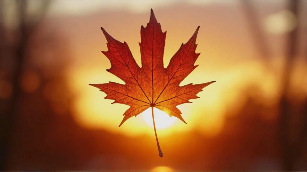 Ottawa Jazz Orchestra | Canadian Stamp and Stomp | 25-26 mar 2026 ...